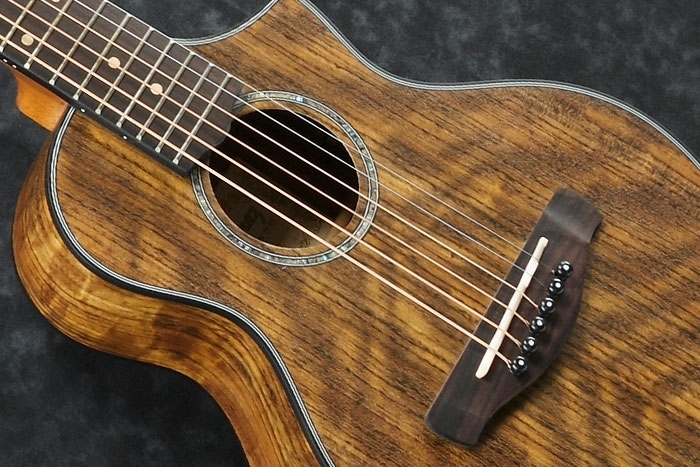 Ibanez EWP14WB-OPN Piccolo Tenor | Musikcentralen | Musikaffär i Växjö ...